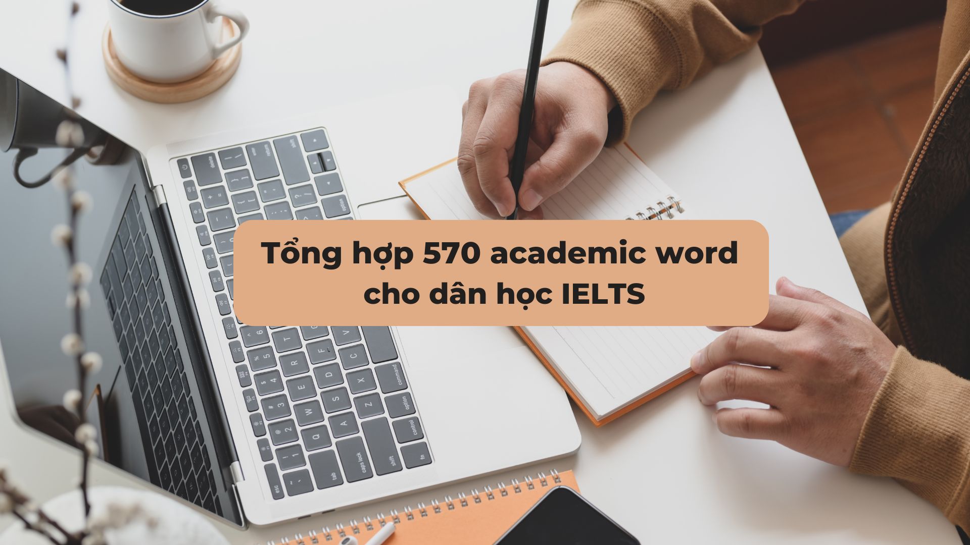 Tổng hợp 570 academic word cho dân học IELTS - IELTS Lab - Luyện Thi ...